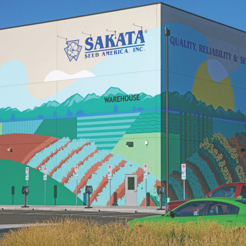 Sakata Ornamentals - Innovation from Greenhouse to Garden